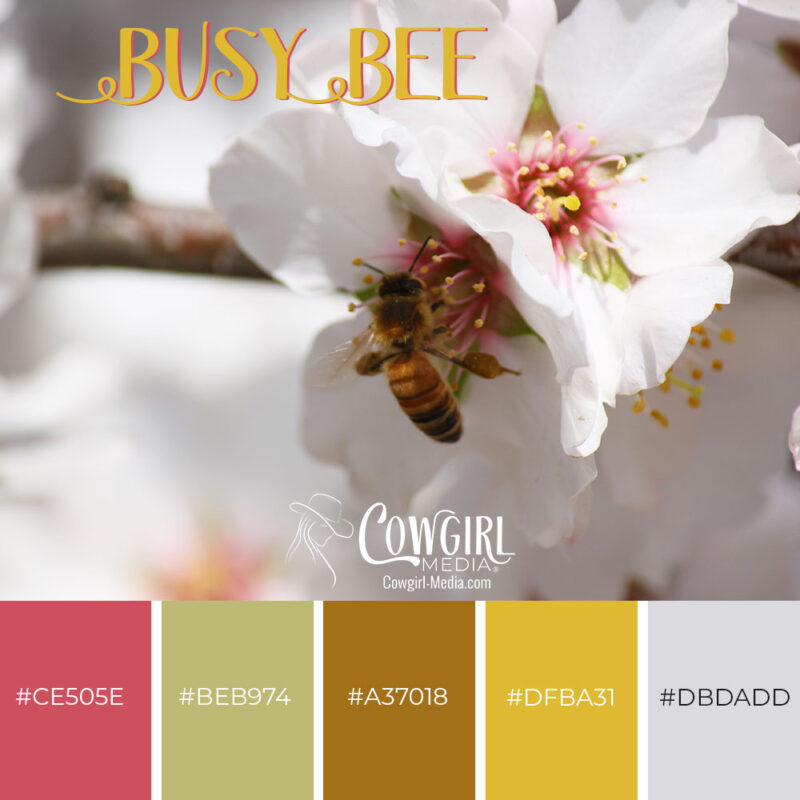 color-palette-busy-bee